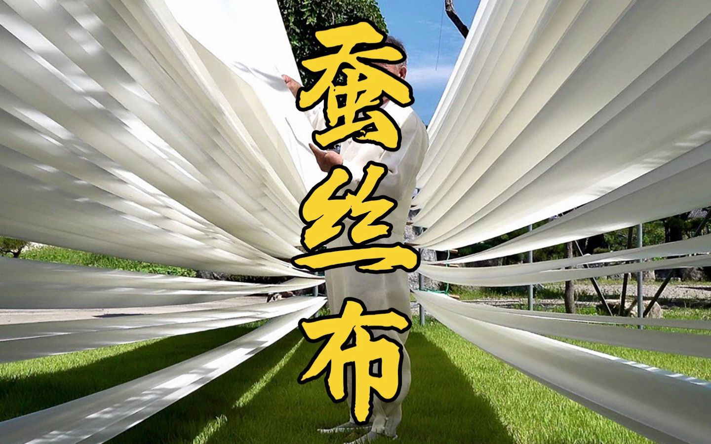 想知道蚕茧是如何变成蚕丝布吗?记录蚕短暂而耀眼的