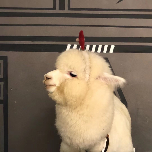 兔儿的兔牙儿 