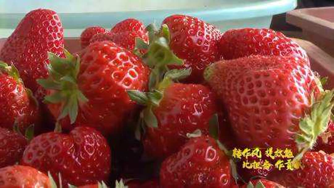 邯郸市农业特色产业面积达450余万亩产值占农业总产值比重50%以上