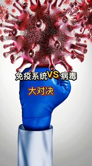 免疫系统和病毒的大作战