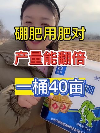 硼肥用的对,产量能翻倍,底肥加半斤,产量高高,一桶用4