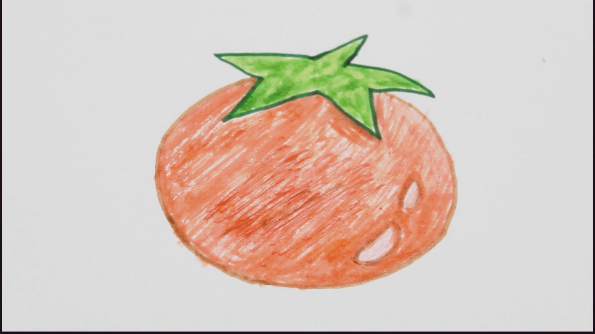 简笔画 2-6岁幼儿园宝宝简笔画视频教程 画西红柿