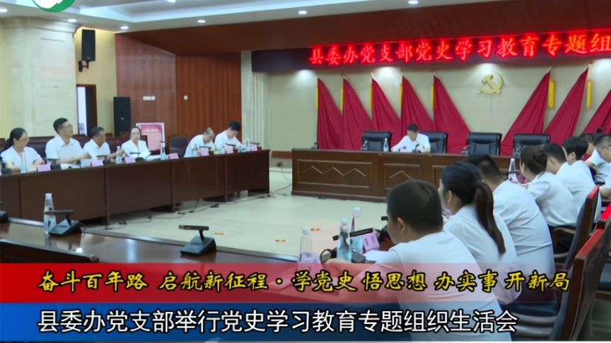 武宁县委办党支部举行党史学习教育专题组织生活会