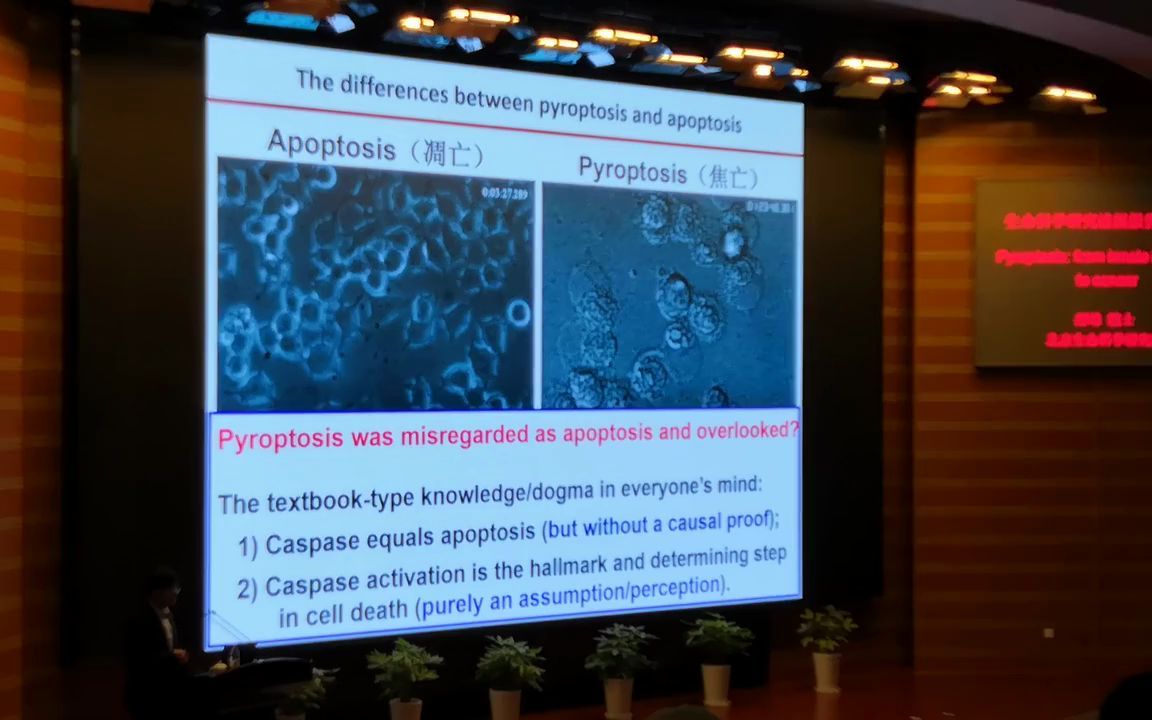 【讲座】邵峰院士讲解 什么是细胞焦亡