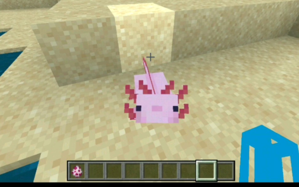 minecraft:1.17新生物"蝾螈"基岩版模组介绍(附下载链接)