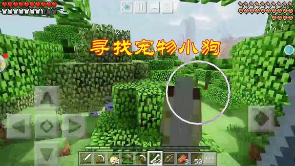 我的世界怎么驯养小狗