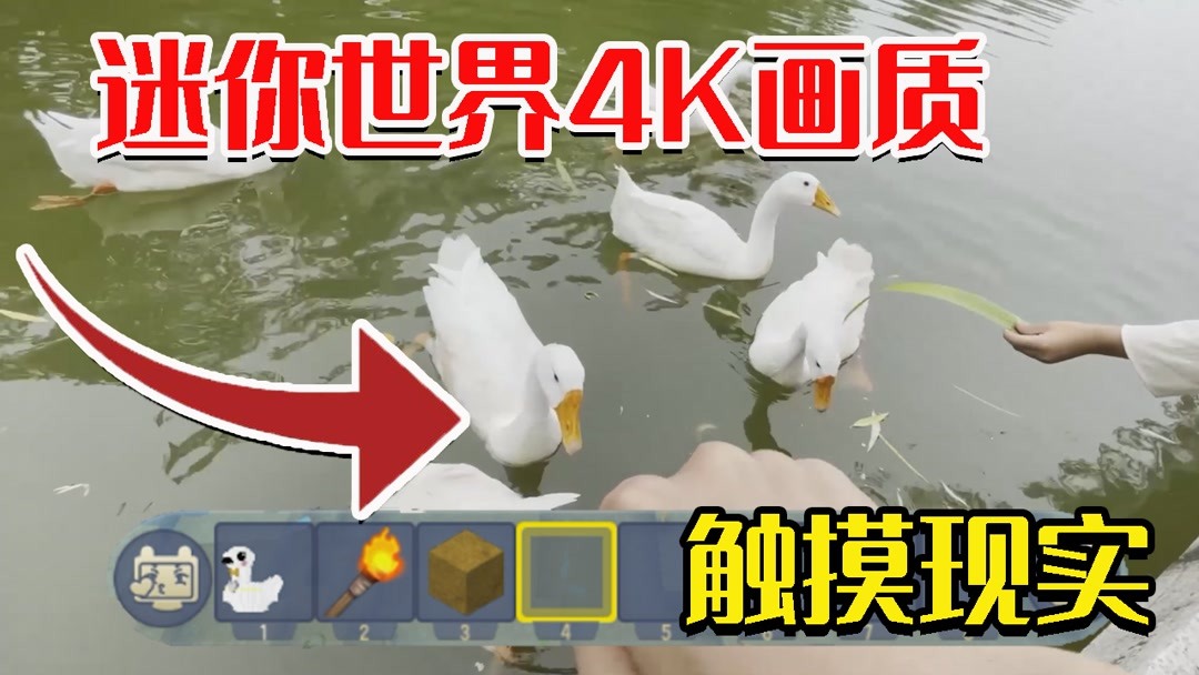 迷你世界冷知识:打开4K画质“触摸现实”最高画质的开启方法!