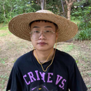 农村阿伟讲三农 