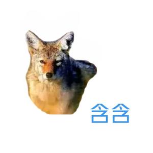 含含糊糊OVO 
