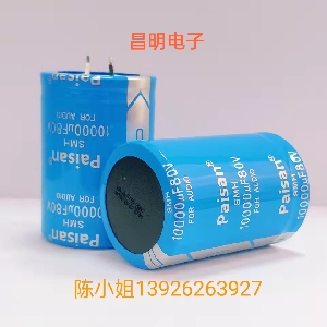 Paisan昌明电子厂 