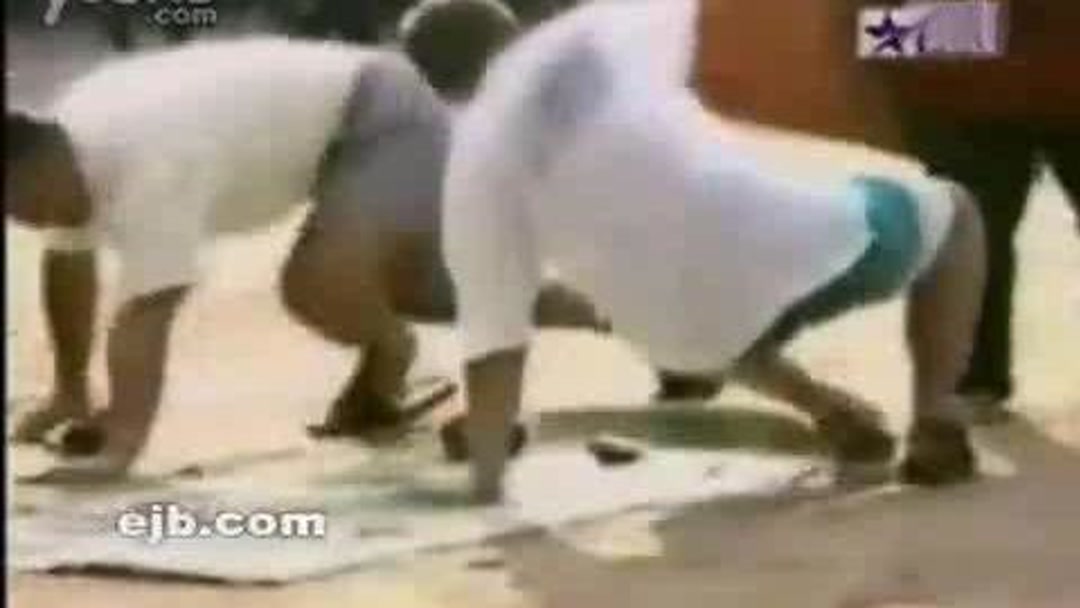 大象表演发生意外_标清