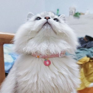 叫我一声酒藏哥哥 