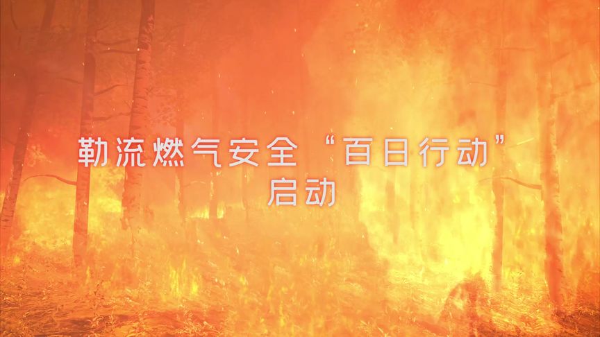 #勒流 燃气安全“百日行动” 筑牢燃气安全防线