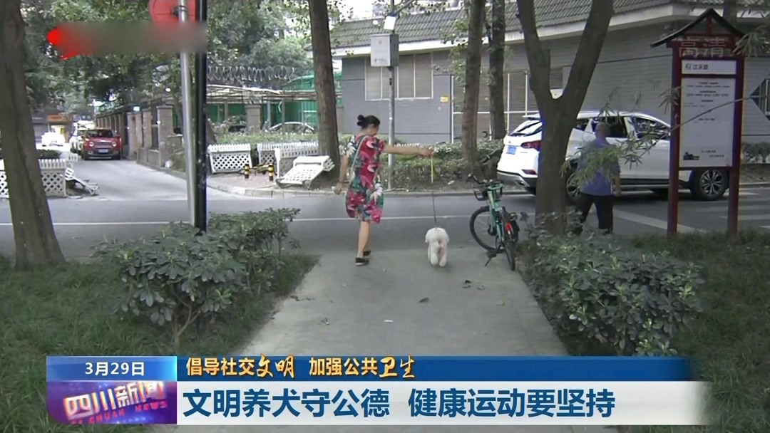 文明养犬守公德 健康运动要坚持