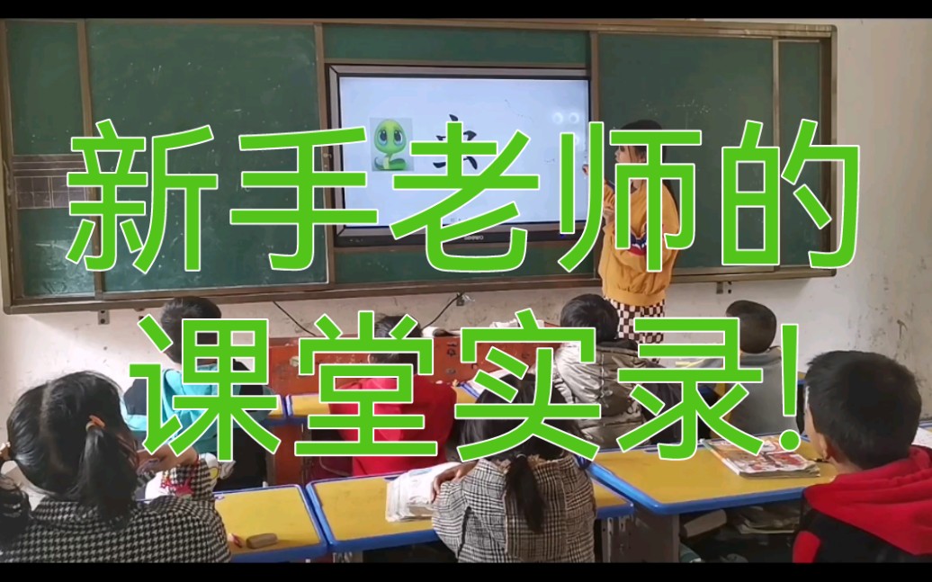部编版一年级下册语文《动物儿歌》,新手教师模仿特级教师史春妍...