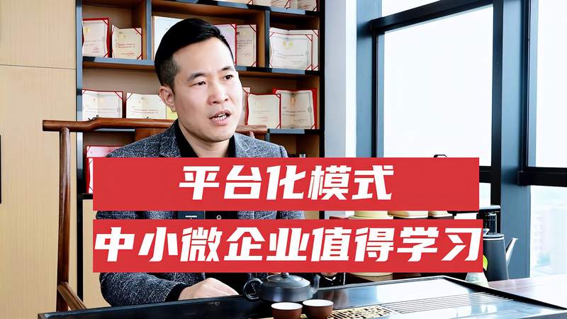 吴利林老师:中小微企业非常适合的模式——平台化模式