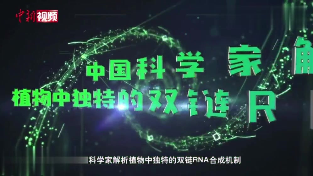 转座子是谁发现的