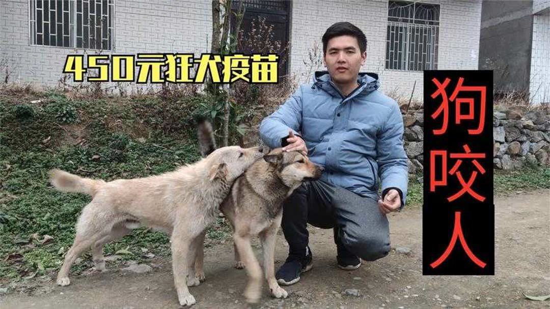 农村小伙被自家养的狗咬了两口,花了450元需要打五针狂犬疫苗!