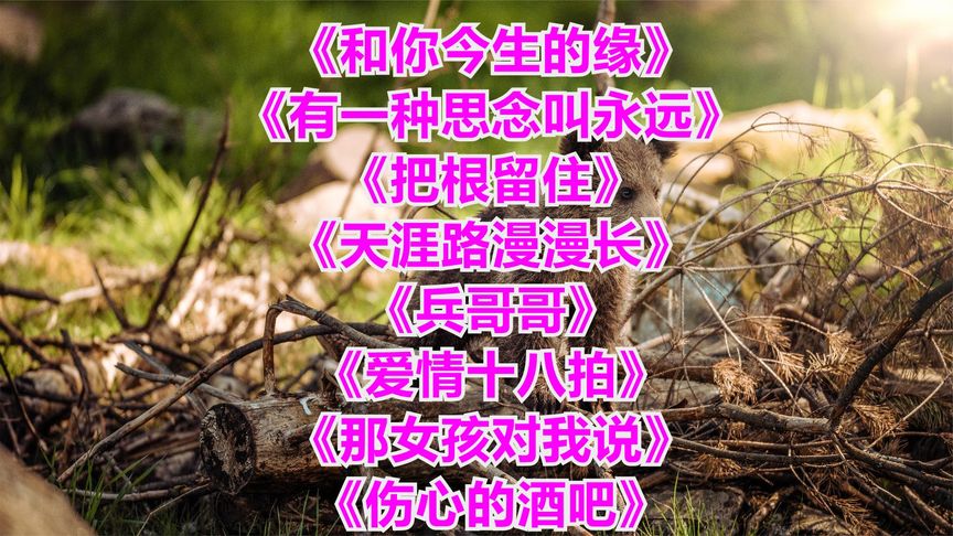 {和你今生的缘}{有一种思念叫永远}{把根留住}{兵哥哥}