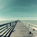 周文强财商精品课 