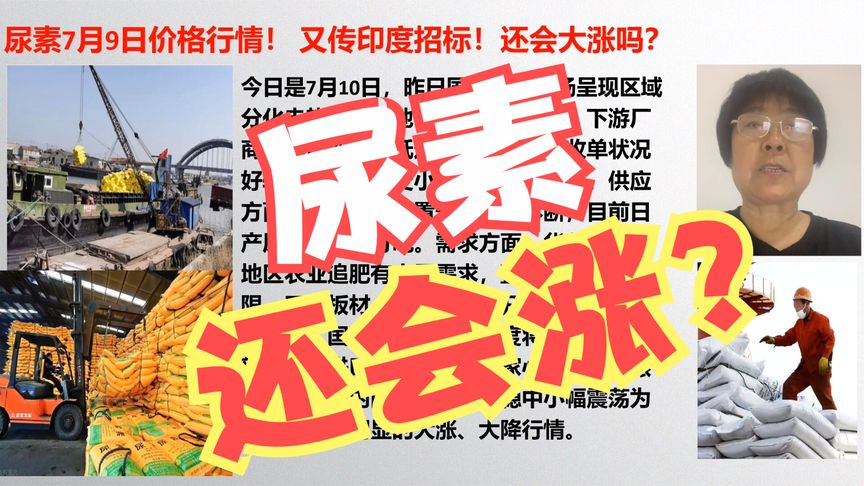 尿素价格天天报!7月9日价格行情! 又传印度招标!还会大涨吗?