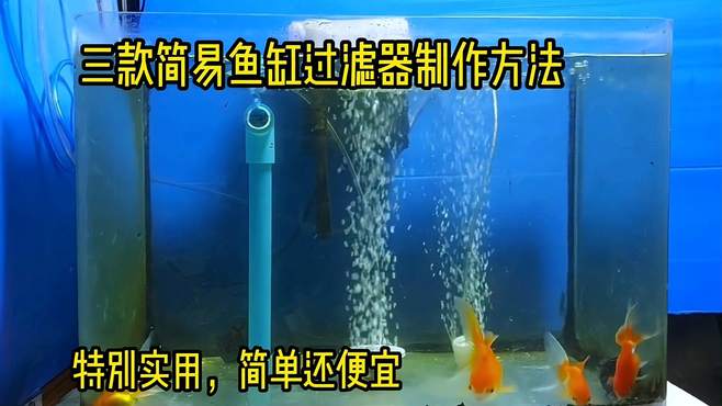 三款非常实用的简易鱼缸过滤器方法,特别实用,简单还便宜