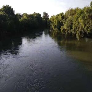 在贵阳的小李哥 