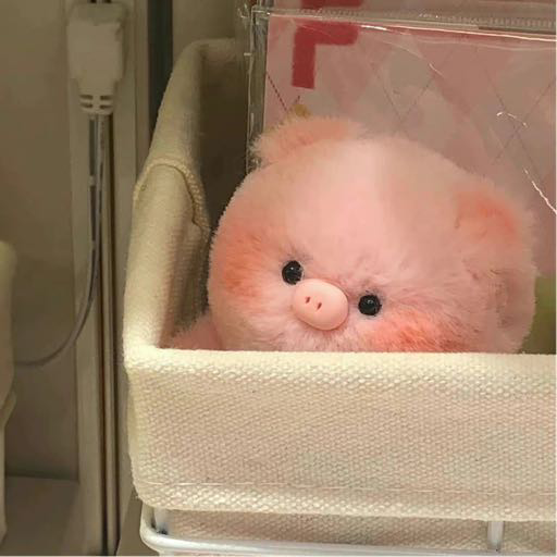 流水账大师潘潘 