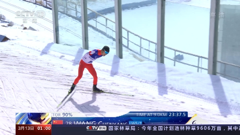 ...年冬残奥会·越野滑雪男子中距离(自由技术)站姿 中国选手王晨阳夺冠