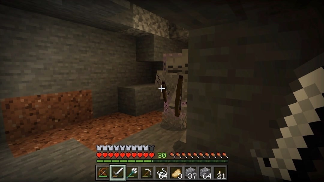 我的世界:没隐藏好,被发现了,哈哈