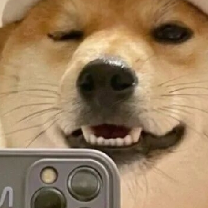 爱吃西瓜的成之 