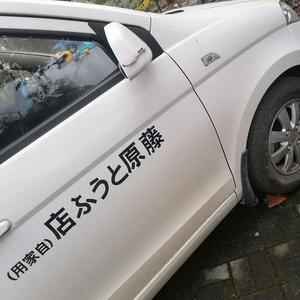 多才多艺的小灰辉 
