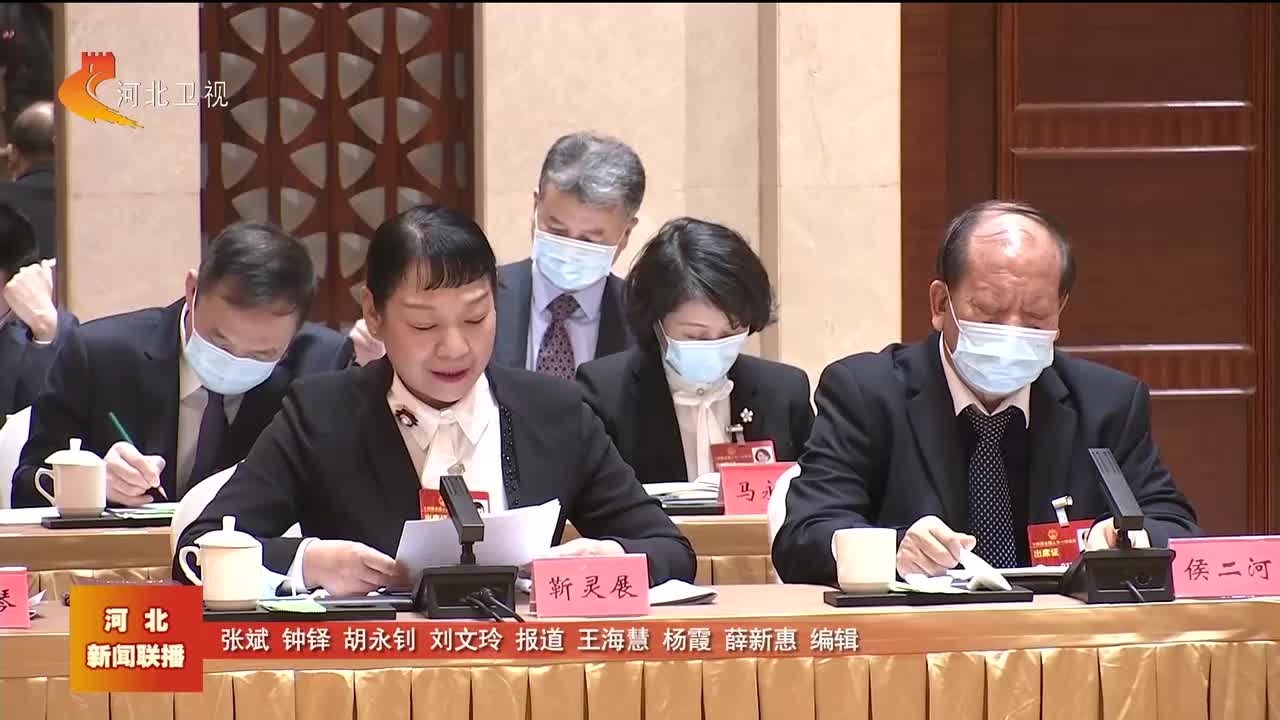 新时代新征程新伟业——代表委员议国是 加快构建新发展格局 着力...