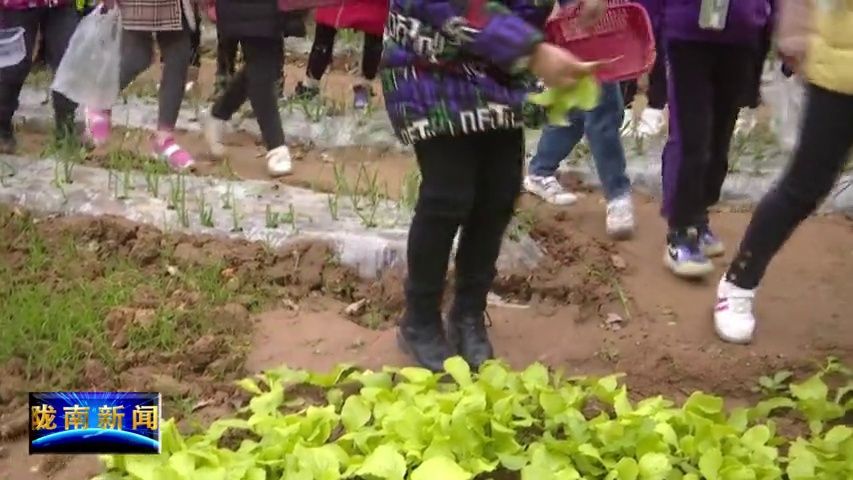 徽县开展校园“开心农场”劳动实践活动