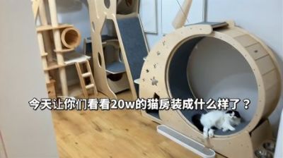 斥资20万打造的猫房终于完成,给大家各个介绍,猫房中的劳斯莱斯