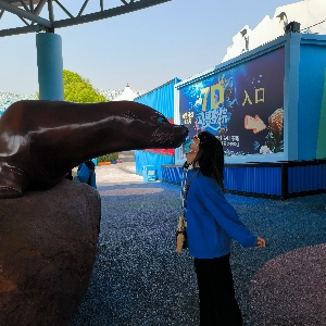 杨硕pluto互关 