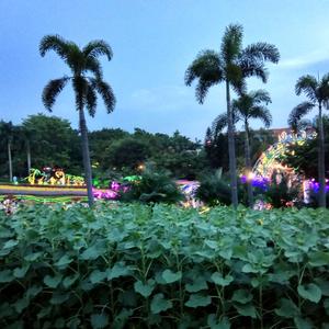 做二手机的阿乐 