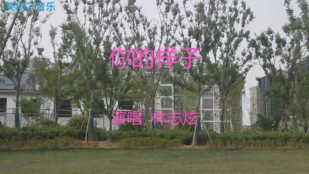 林志炫的一首《你的样子》,让我想起了多年不联系的你