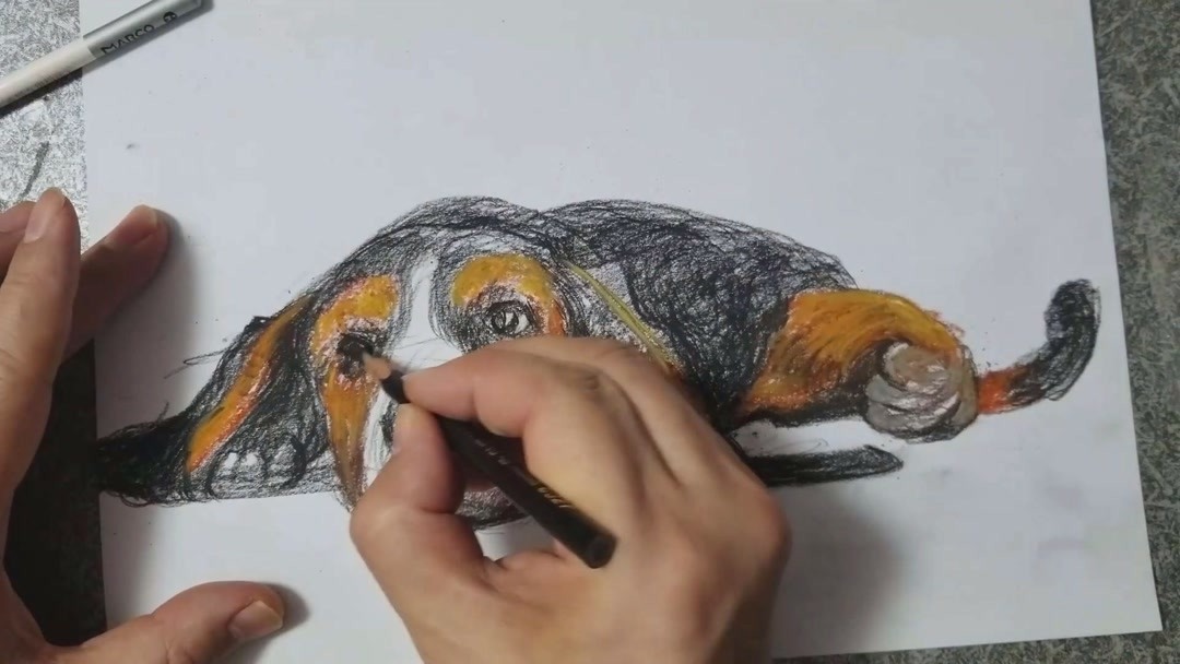 20分钟画一只狗,身上的细节这么画,简单又逼真