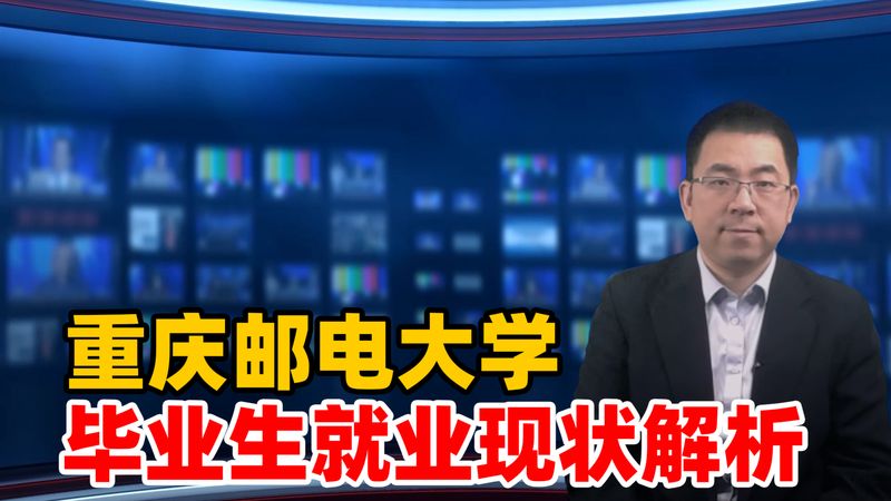 重庆邮电大学毕业生就业现状解析
