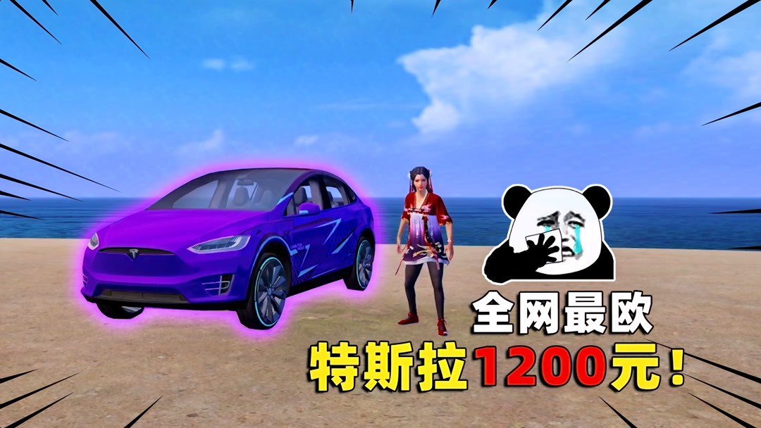 可爱的Anna:新车皮特斯拉登场!奇幻紫我只花了1200,全网最欧!