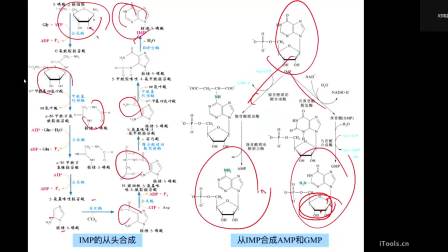 高一生物5.28