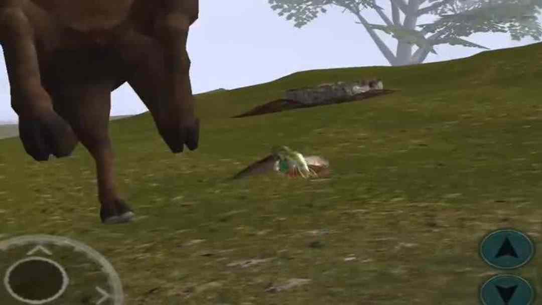 动物模拟器 小鸟生存