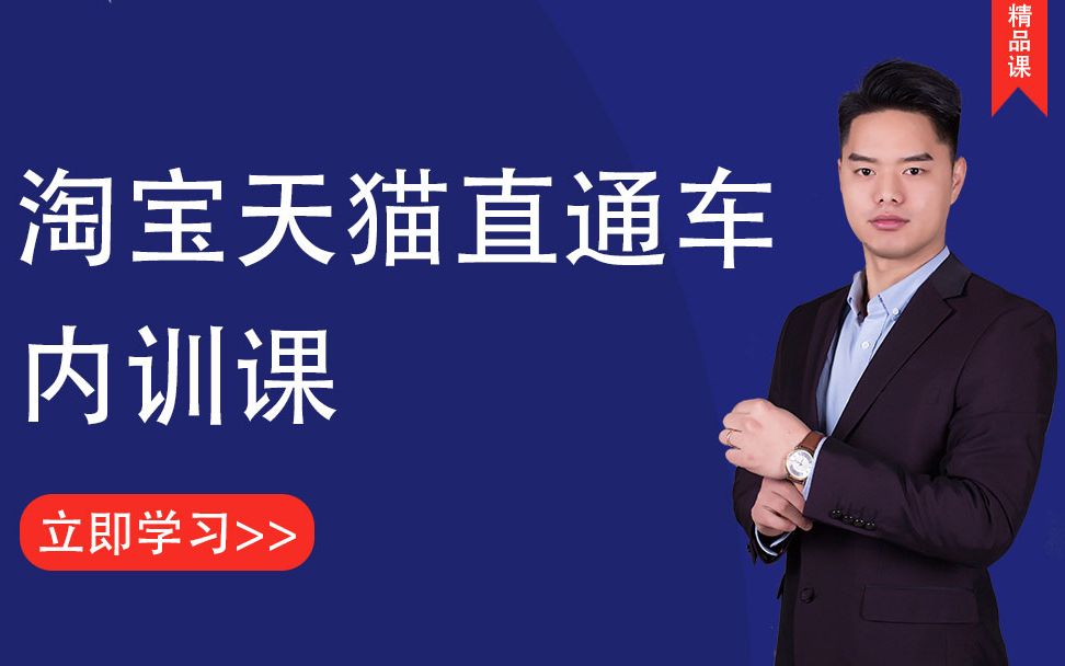 淘宝直通车零基础入门到精通电商运营淘宝网店一件代发智能推广报表...