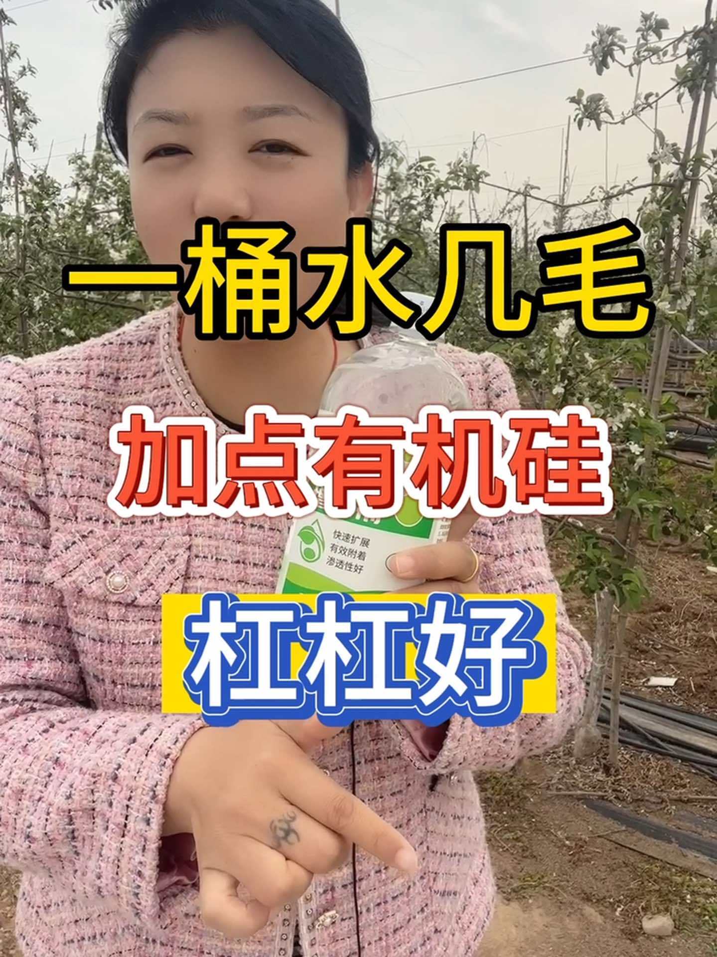 一桶水几毛钱,打药加点有机硅,效果翻番杠杠好种植