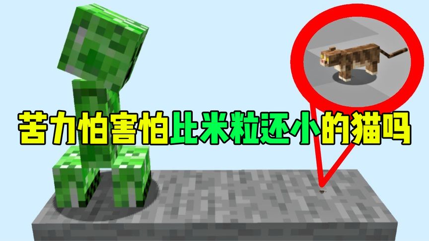 我的世界:苦力怕会害怕比米粒还小的猫咪吗?