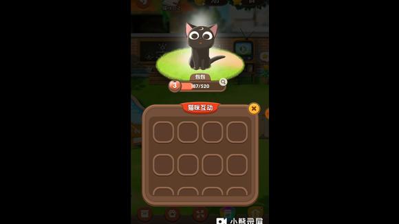 猫与咖啡第四期包包他来了,叶时能和我做朋友吗?