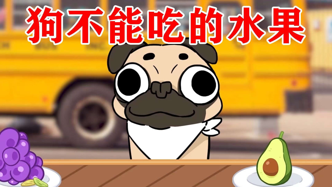 摩登大自然 第六集 爱狗人士请看这里!狗狗不能吃的水果