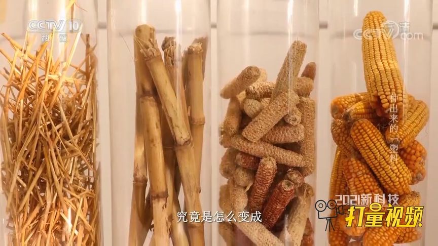 玉米除了吃还有啥功能?这个作用你一定想象不到|时尚科技秀