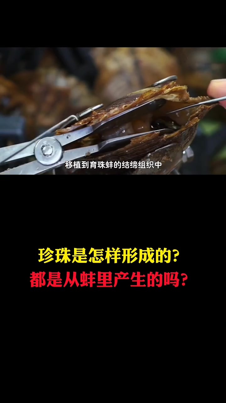 珍珠是怎样形成的?